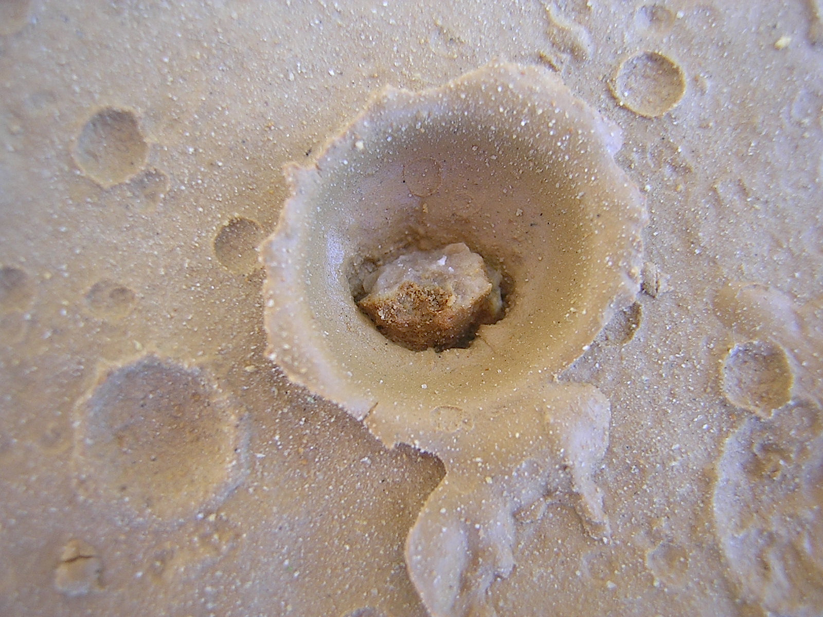 क्षुद्र ग्रहों से नहीं…कीचड़ से बनी है धरती | mud makes tiny planets in ...