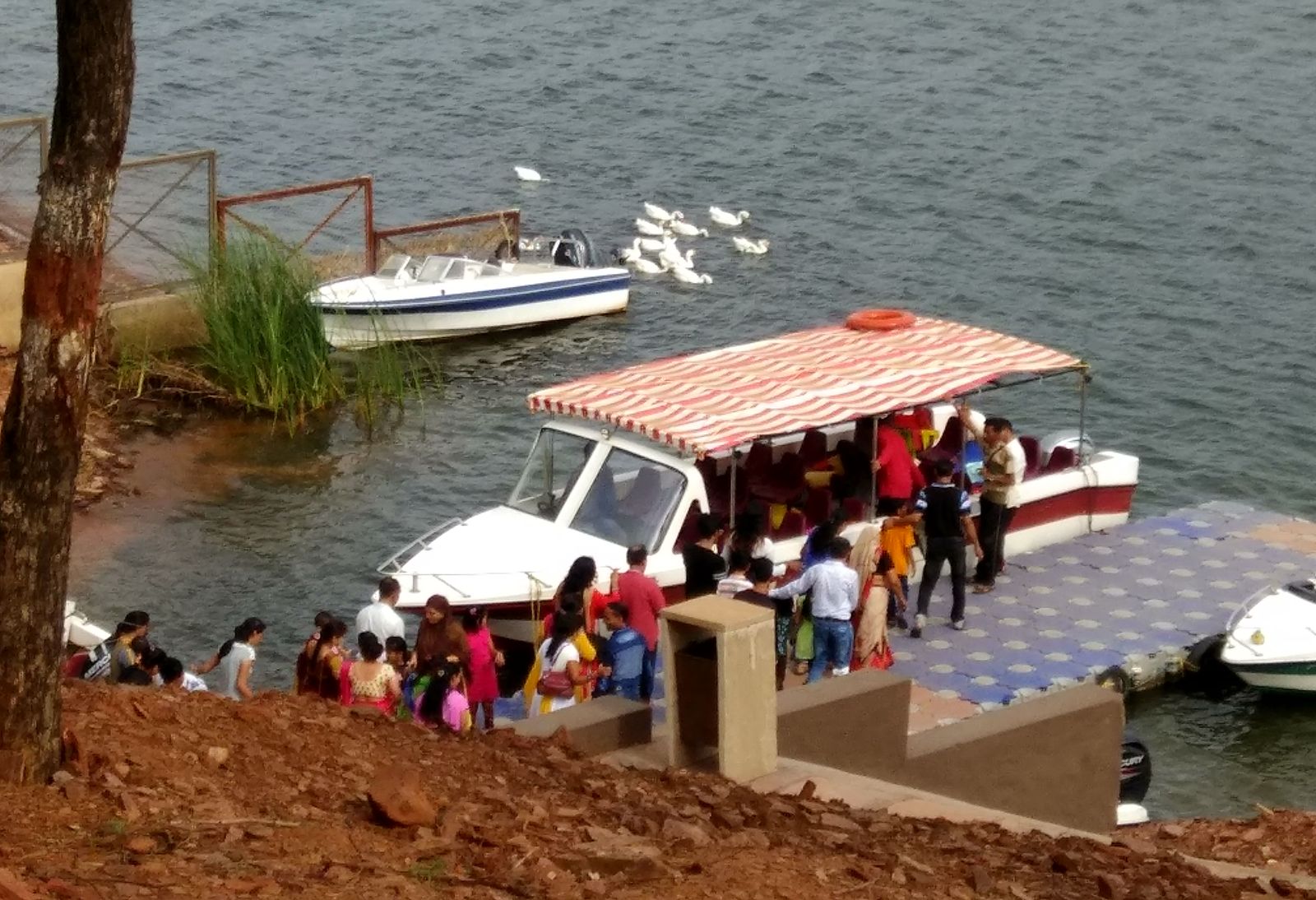 MP: सैलानी टापू में पर्यटक भूलकर भी ये न करें | Patrika News | हिन्दी न्यूज