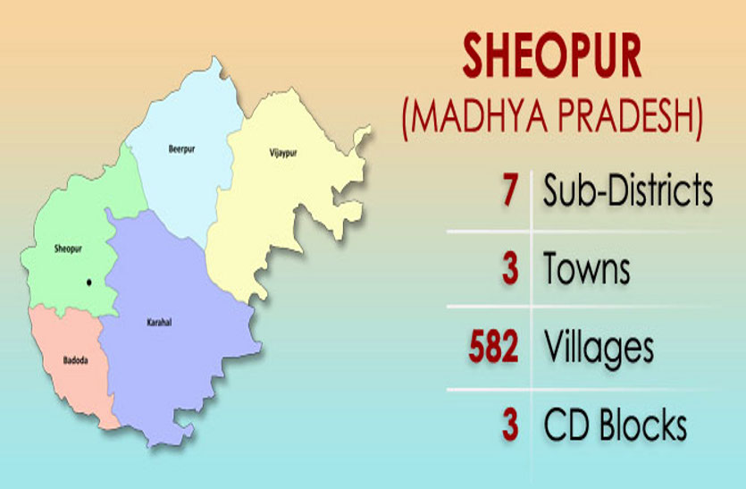 श्योपुर विधानसभा में मीणा और विजयपुर में आदिवासी वोटर करते हैं उलटफेर ...