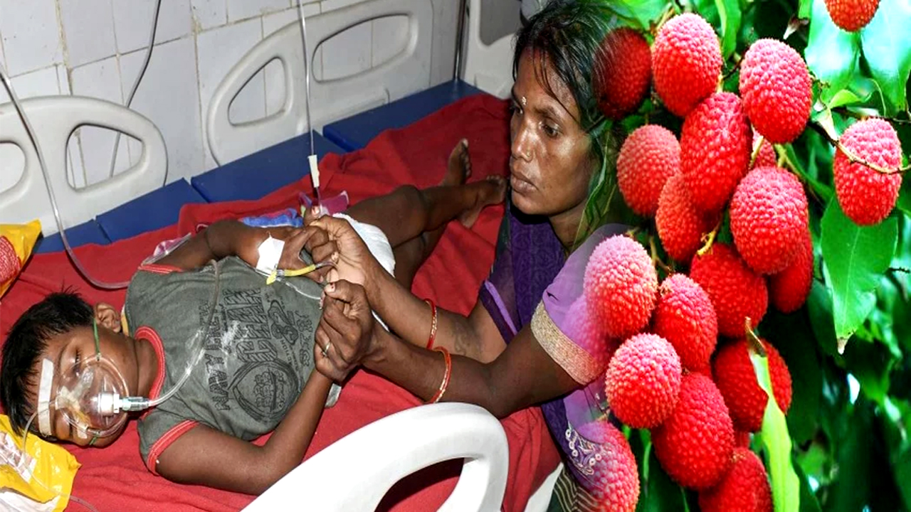 Encephalitis (Chamki Fever):ओडिशा में ‘चमकी अलर्ट’,लीची कनेक्शन से ...