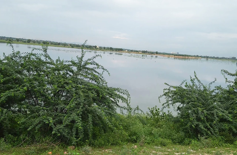 संकट में राजस्थान का यह बांध, पानी पीना हो सकता है घातक | Patrika News ...