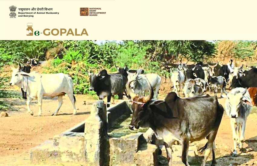 e-GOPALA: डेयरी किसानों को मिलेगा बड़ा फायदा, मिलेगी पशुपालन से जुडी ...