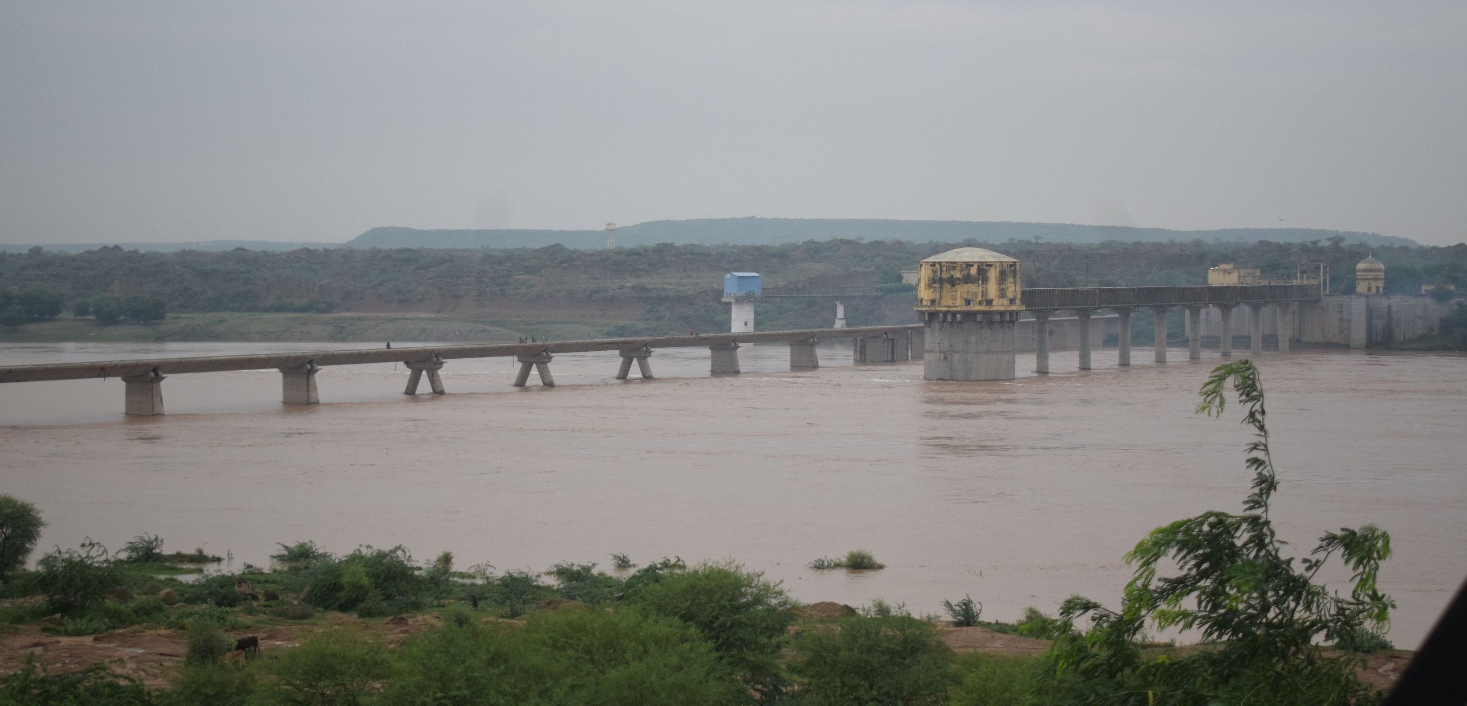 धौलपुर में फिर खतरे के निशान से ऊपर पहुंचा चंबल नदी का जलस्तर | The ...