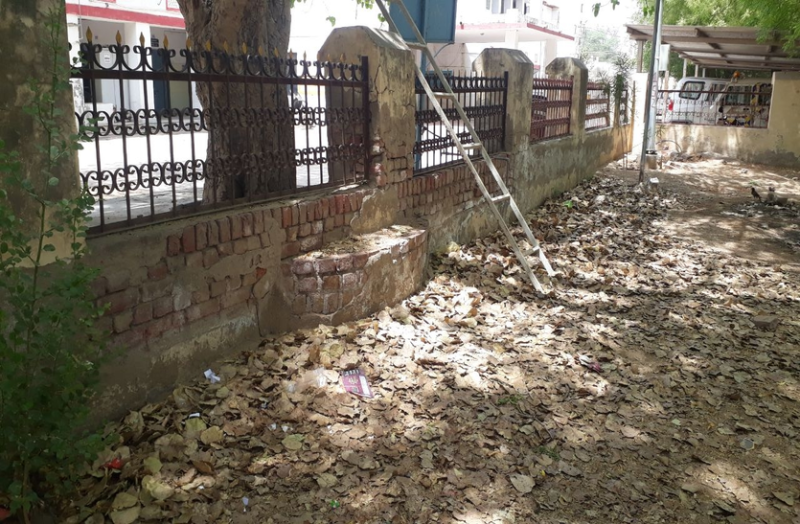 Desolate Park – किसी जंगल से कम नजर नहीं आता यह उजाड़ पार्क | Patrika ...