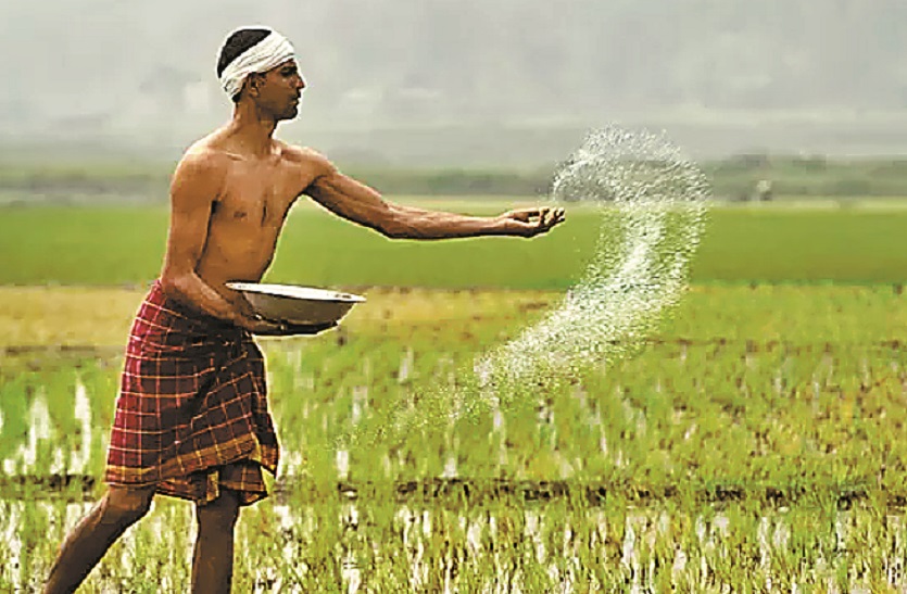 खरीफ की बुवाई पर उर्वरक संकट के बादल | Patrika News | हिन्दी न्यूज