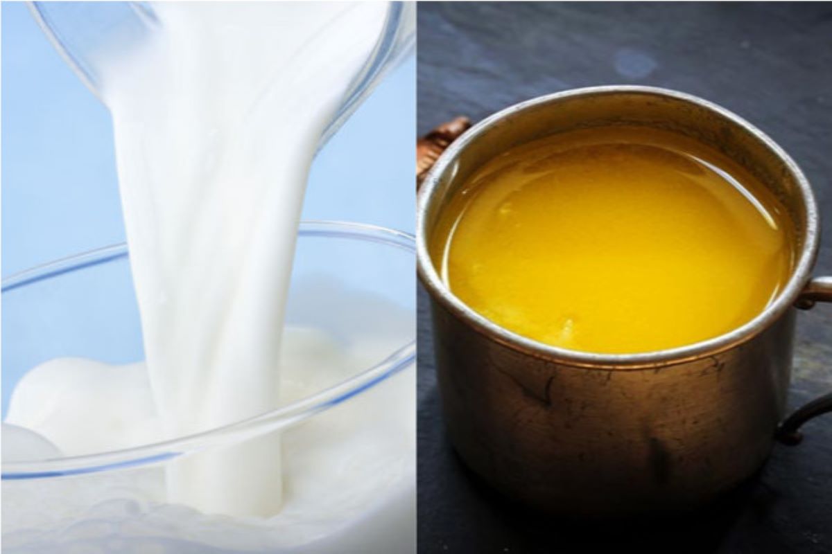 Milk With Ghee Benefits: दूध में घी मिलाकर पीने के है अनगिनत फायदे ...