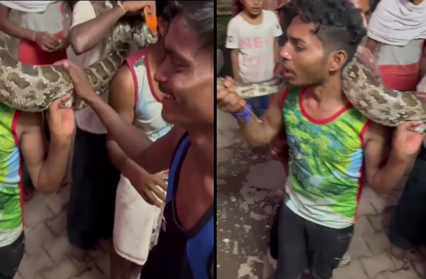 युवकों ने अजगर को कंधों पर उठाकर दुकानदारों से मांगे पैसे, Video Viral ...