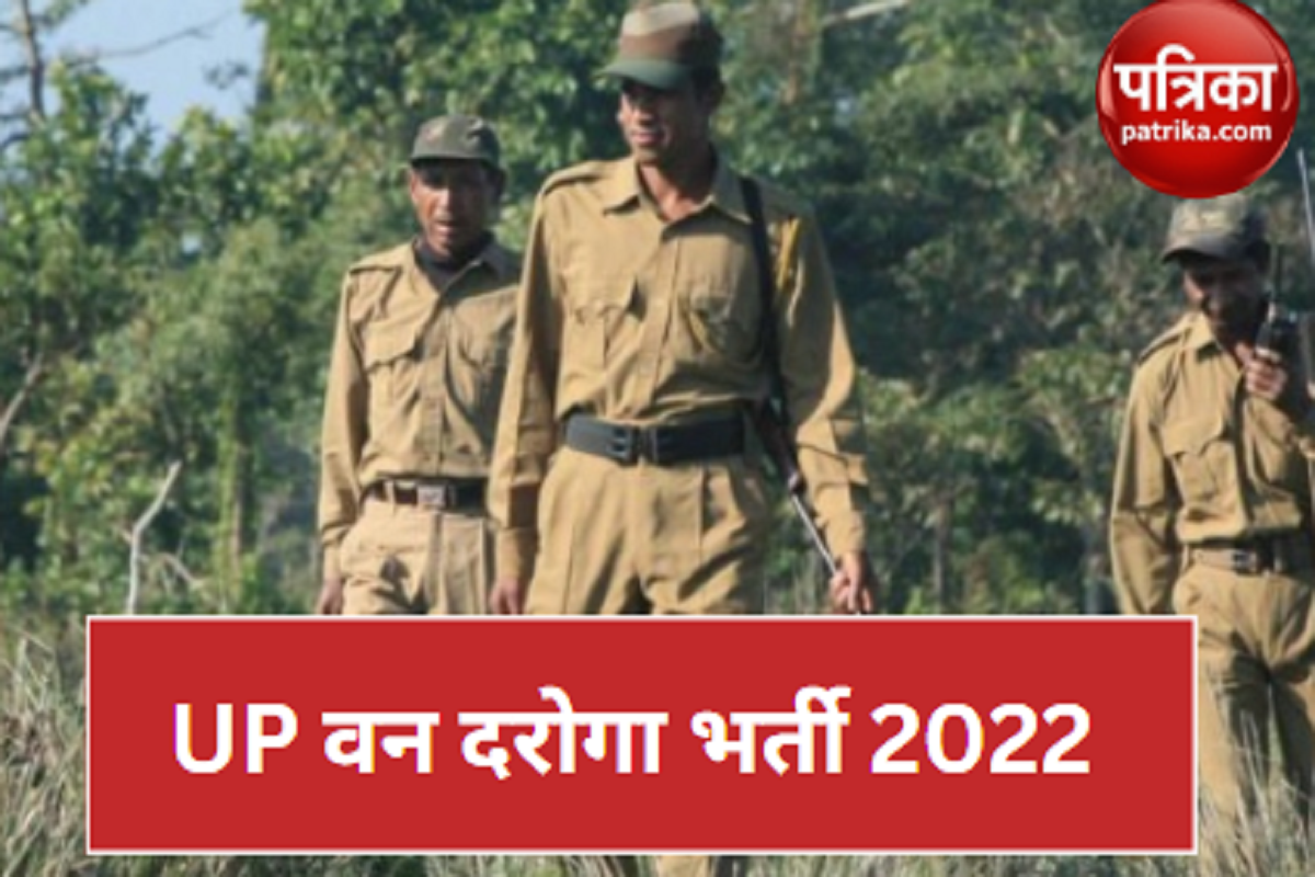 UPSSSC UP Forest Daroga 2022 : वन दरोगा के लिए निकली 700 पदों पर भर्ती ...