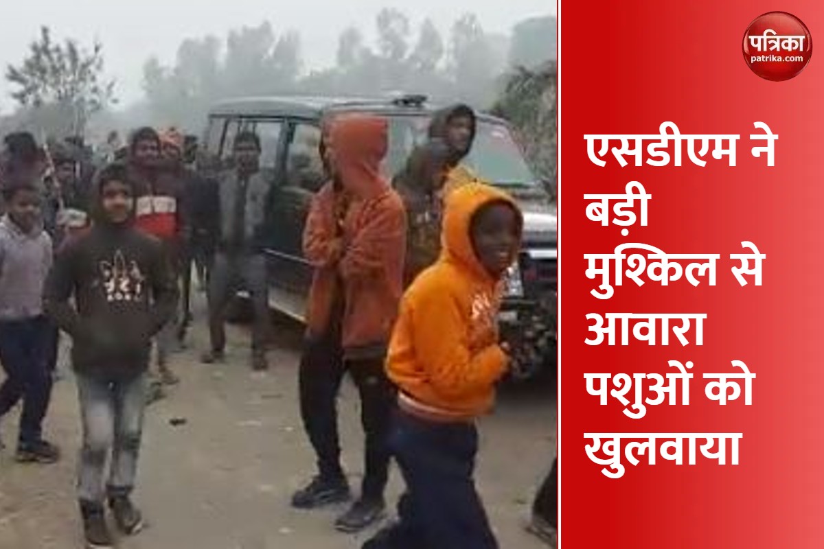 किसानों ने आवारा पशुओं को सरकारी स्कूल में बांधकर जड़ दिया ताला ...