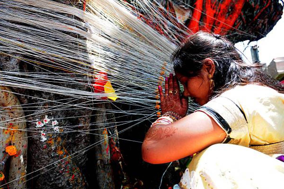 Vat Savitri Vrat 2024: वट सावित्री व्रत के दिन क्यों की जाती है बरगद की ...
