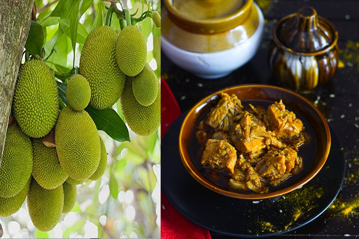 Kathal Ka Achaar : इस बार नींबू या आम नहीं, कटहल का बनाएं चटपटा अचार ...