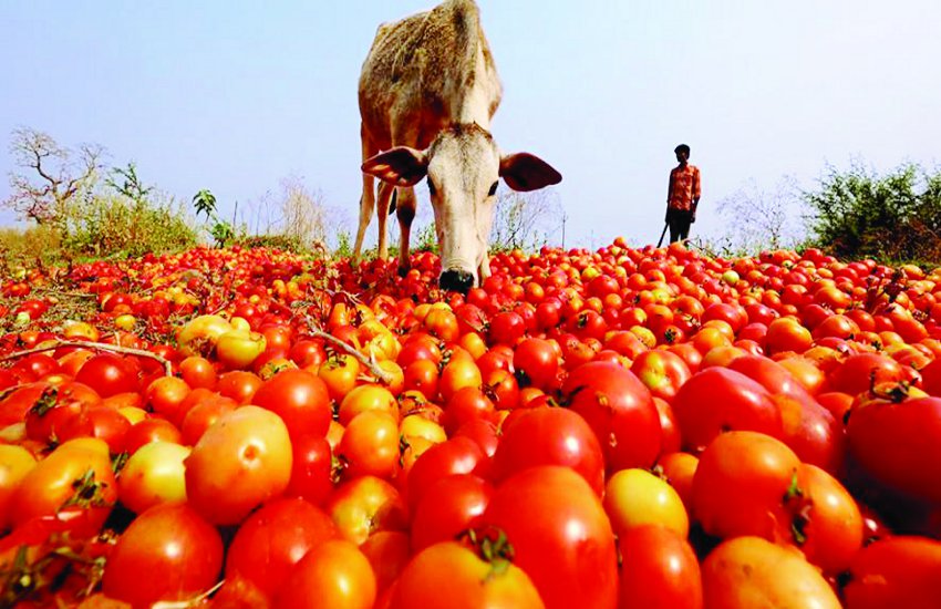 लाल-लाल पताल ल देख के आंखी ह ललियावत हे! | mahgayi ke seti loganman ke ...