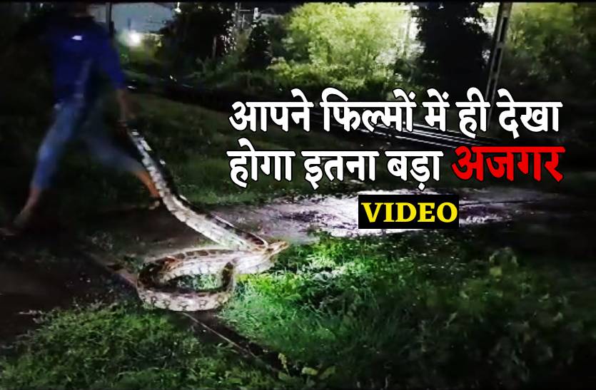 giant python news : ट्रेन की पटरियों पर रेंग रहा था इतना बड़ा अजगर की ...