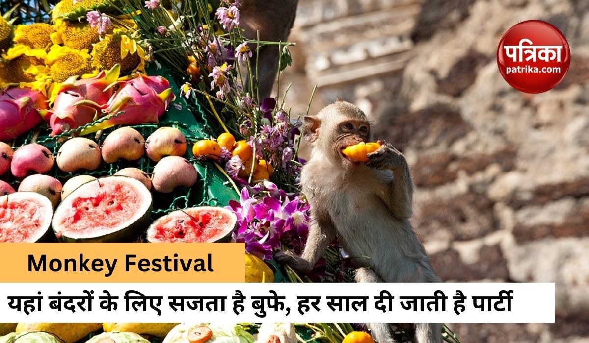 यहां बंदरों को बुलाकर दी जाती है दावत, इंसान करते हैं उनके जैसा डांस और फिर… | Patrika News ...