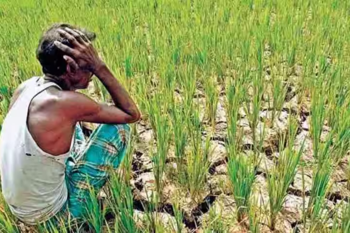 Monsoon Tracker Update: बरसते बादल को तरसते नयना | Monsoon Tracker Live ...