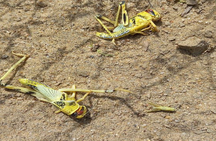 26 साल बाद भारत में हुआ था बड़ा हमला, अब ‘दुश्मन’ की तीसरी पीढ़ी हमले ...