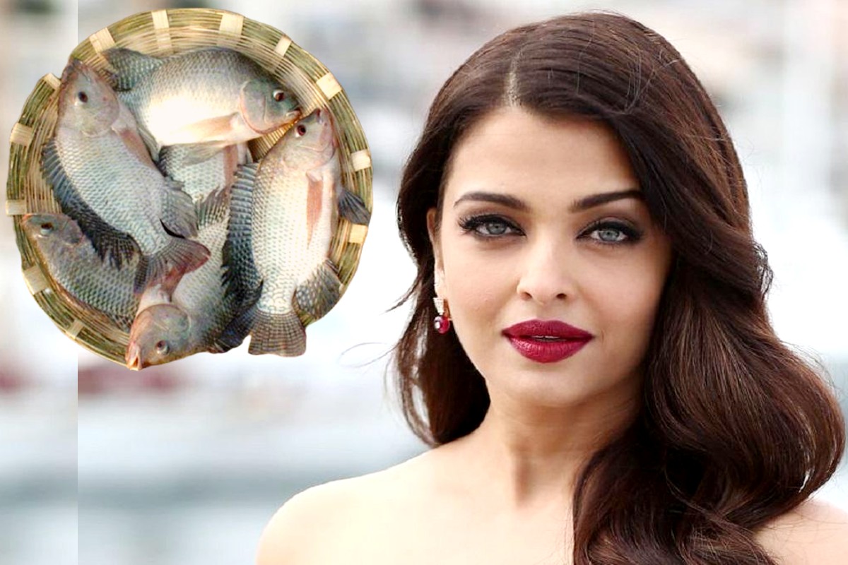 ऐश्वर्या राय इसलिए खूबसूरत, क्योंकि रोज खाती थीं मछली… महाराष्ट्र के ...