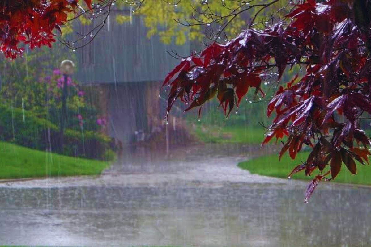 Weather Update: प्रयागराज में रिमझिम बारिश, 18 जिलों में अलर्ट जारी ...