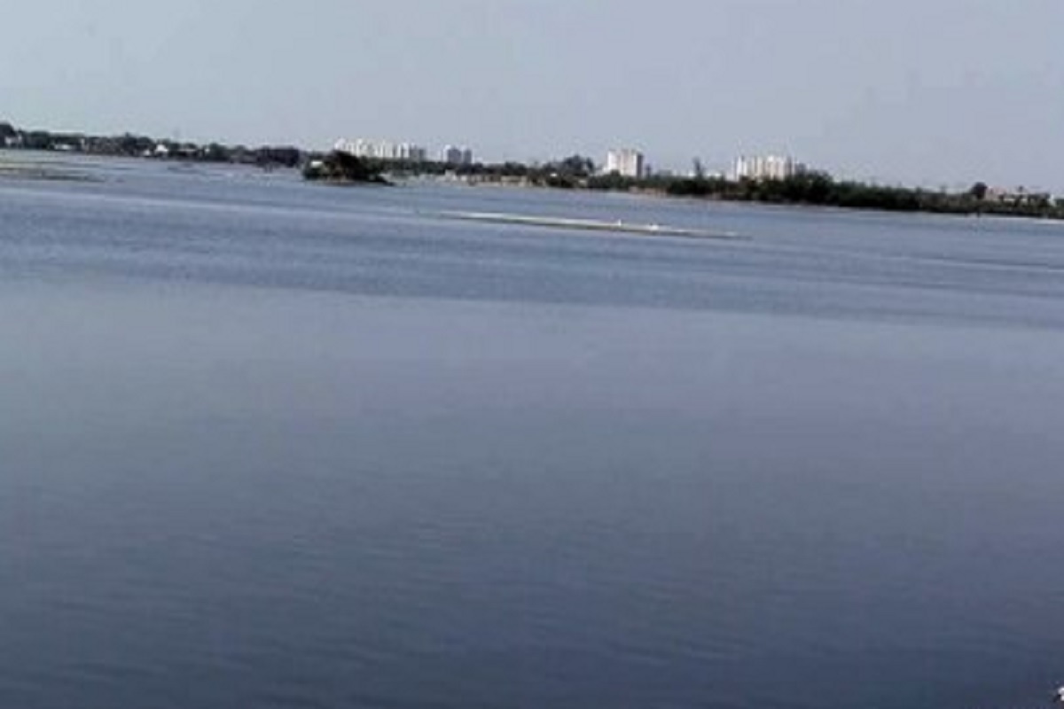 Rajasthan : रामसागर बांध में केमिकल युक्त पानी, सैकड़ों मछलियां मरीं ...