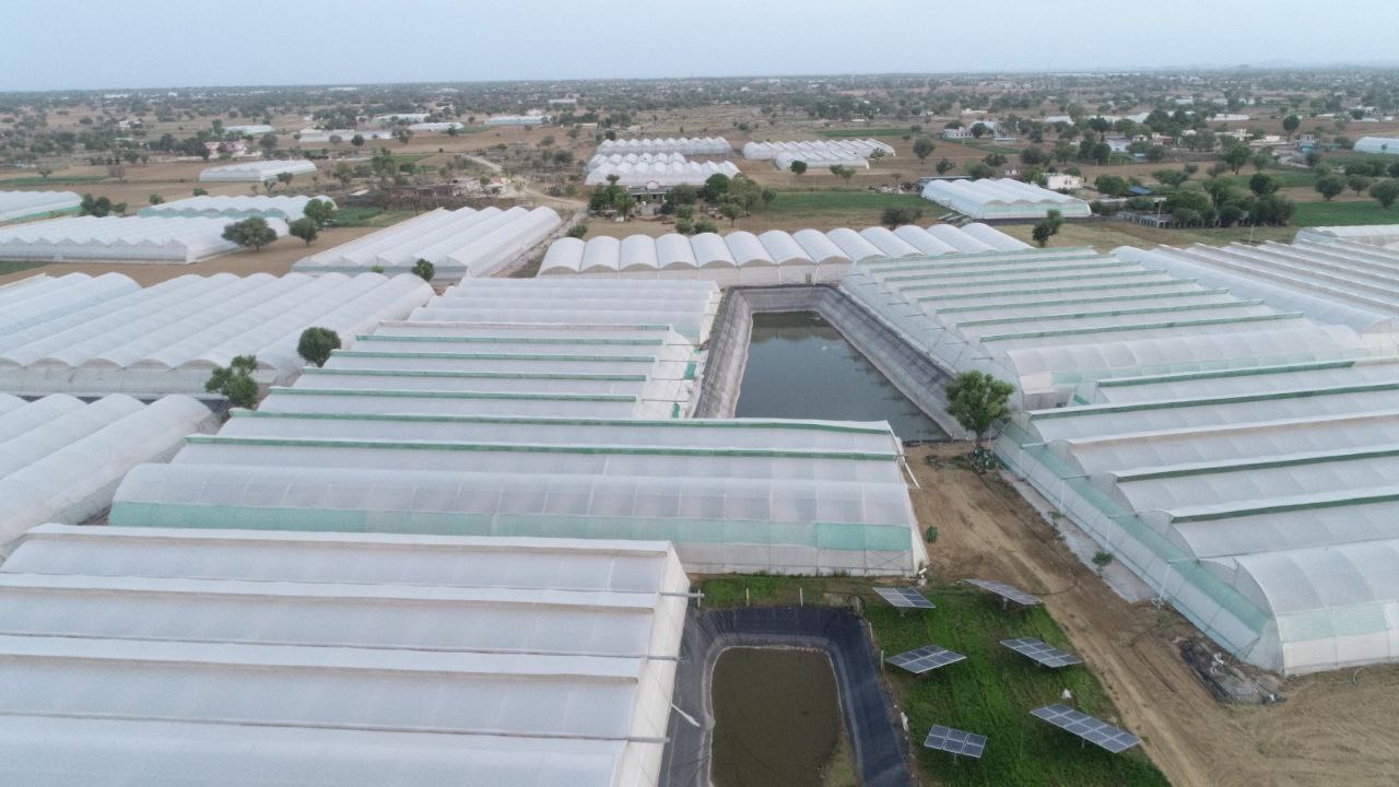 ग्रीन हाउस और शेडनेट ने बदली गांव की तस्वीर | agro tip | Patrika News