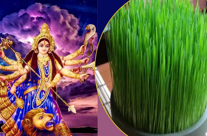 Navratri 2023: जवारे में छिपे होते हैं माता रानी के ये संकेत, जानें ...