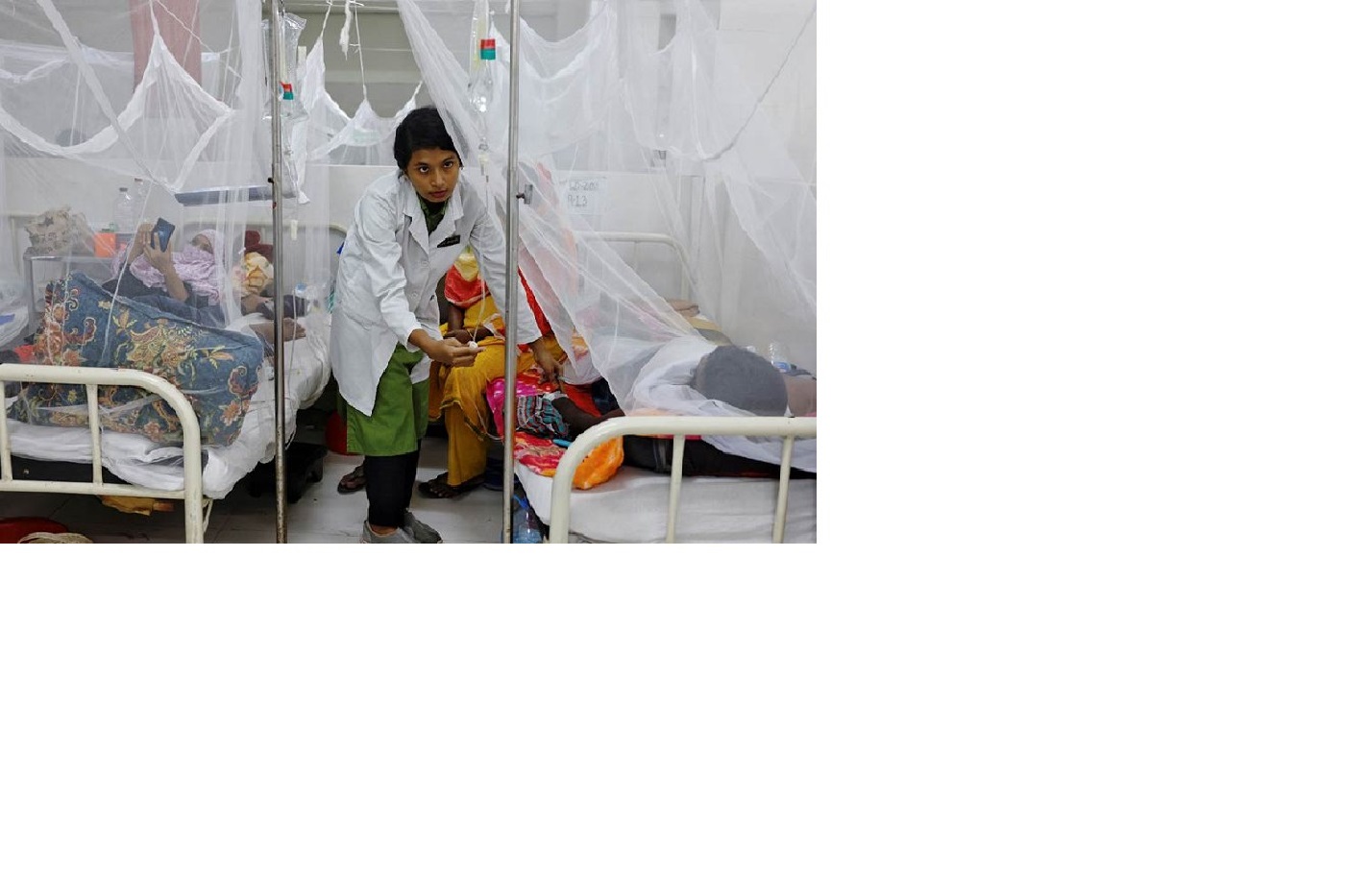 Dengu : अतिरिक्त प्लेटलेट और सेलाइन से हो सकती है डेंगू के मरीजों की मौत