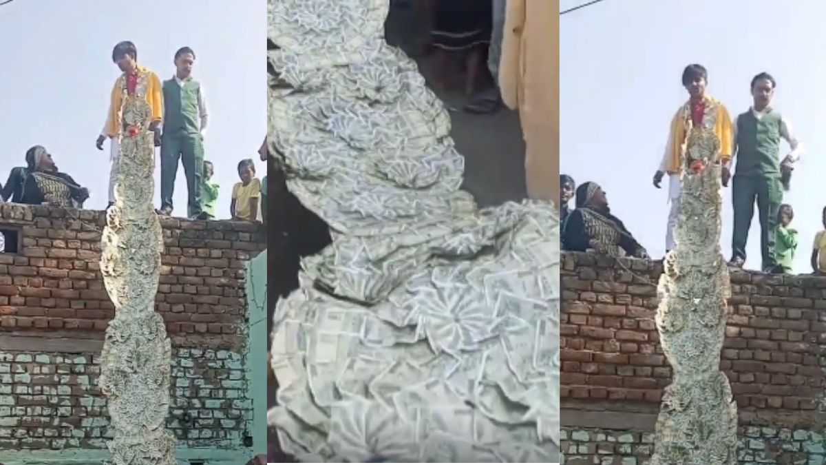 Video: दूल्हे ने पहनी 20 लाख रुपए के नोटों की माला, लंबाई देख हो जाएंगे ...