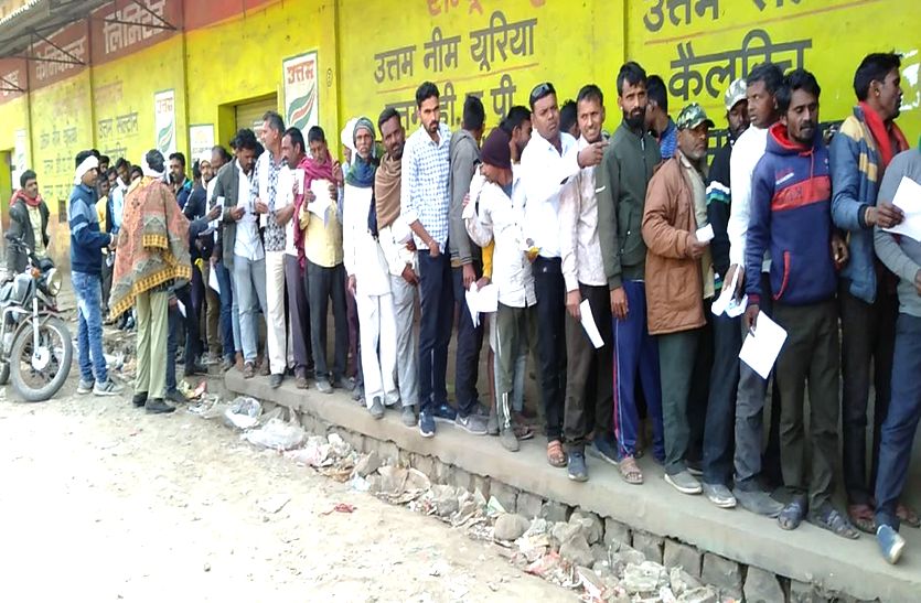 यूरिया की मारामारी: सुबह 6.30 बजे से कतारों में किसान | Urea fight ...