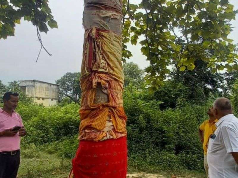अयोध्या का रहस्यमई पेड़ जिसके तनों और पत्तों पर उभर आते हैं राम ...