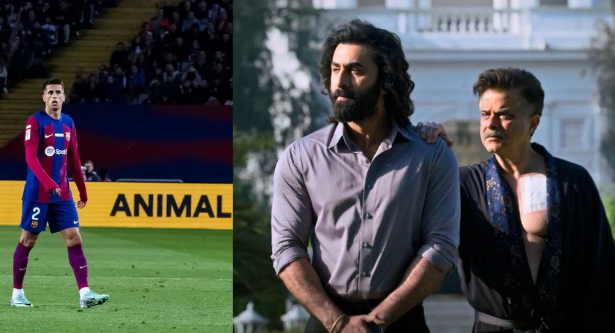 Animal का विदेशों में भी जलवा, दुनिया के सबसे पॉपुलर फुटबॉल क्लब्स में ...