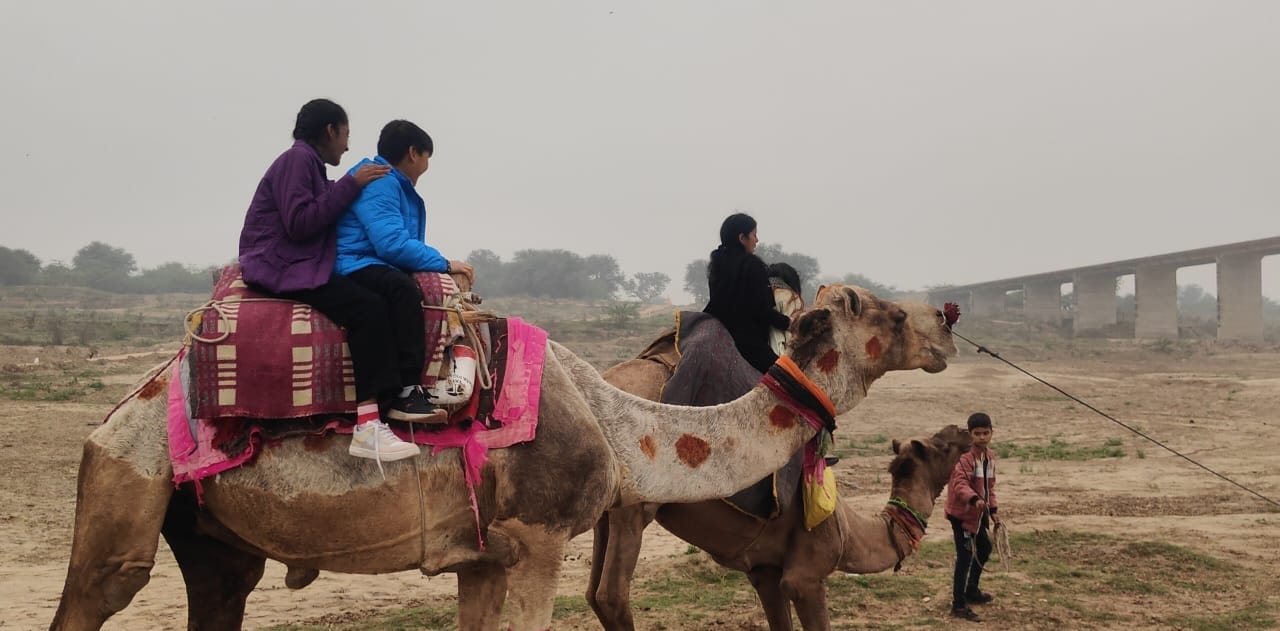 चंबल को बनाया टूरिज्म प्लेस: ऊंट की सवारी की और लिया वोटिंग का लुत्फ ...