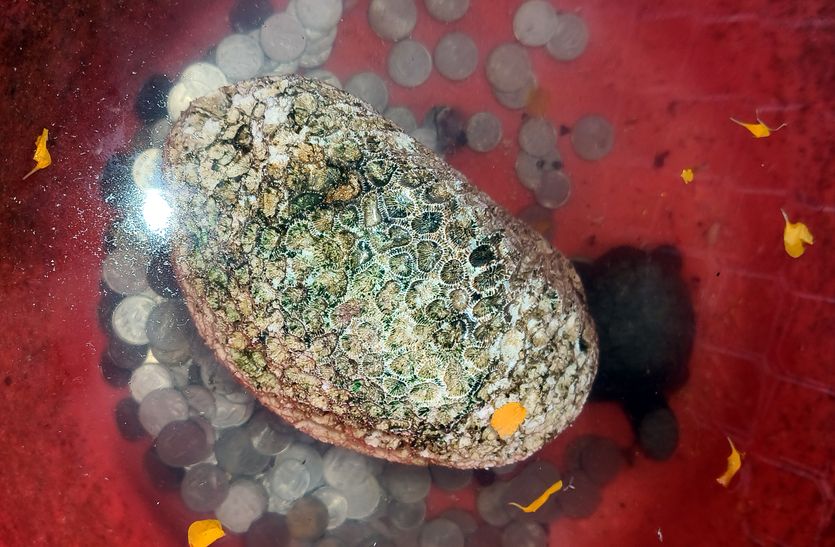 यहां पानी में तैर रहे हैं रामसेतु के पत्थर | Here the stones of Ram ...