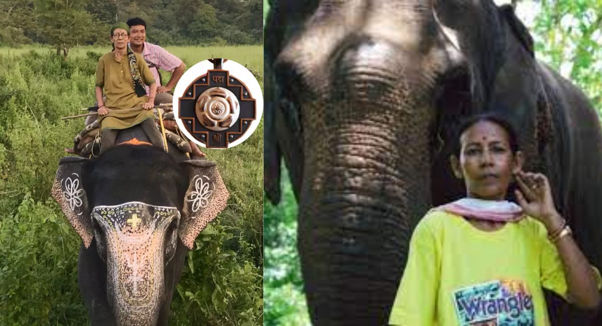 असम की एलिफेंट गर्ल पद्मश्री से सम्मानित, जानिए देश की पहली महिला महावत ...