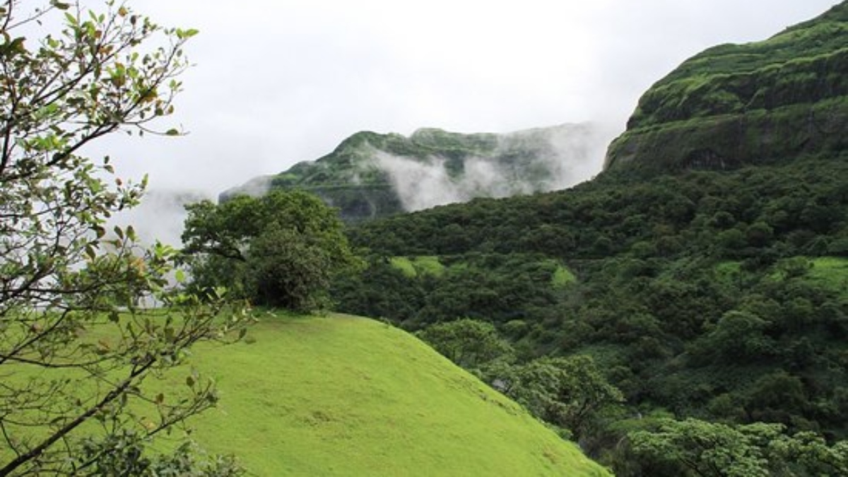 महाराष्ट्र: तम्हिनी घाट के सेल्फी प्वाइंट से गिरा 30 साल का इंजीनियर ...