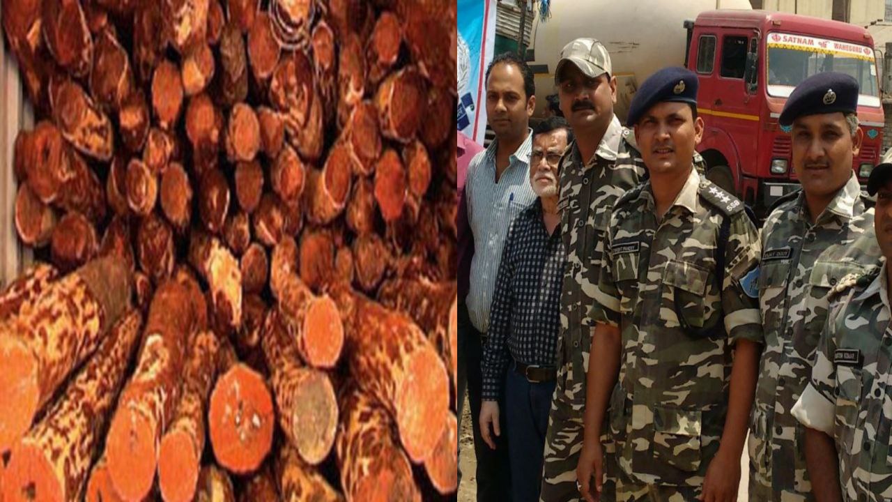 शख्सियत : एसएसबी में असिस्टेंट कमांडेंट पद से दिया इस्तीफा, कर रहे चंदन ...