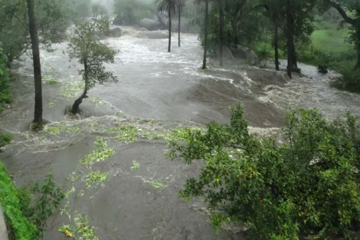 मौसम पूर्वानुमान बढ़ाने के लिए AI का इस्तेमाल, मशीन लर्निंग के जरिए रखी ...