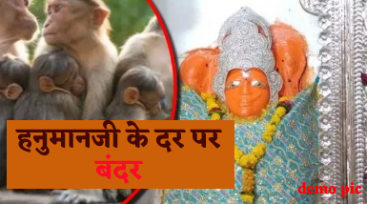 Hanuman Jayanti – हनुमान जयंती पर गजब का नजारा, बंदर पहुंचा मंदिर, सुनी ...