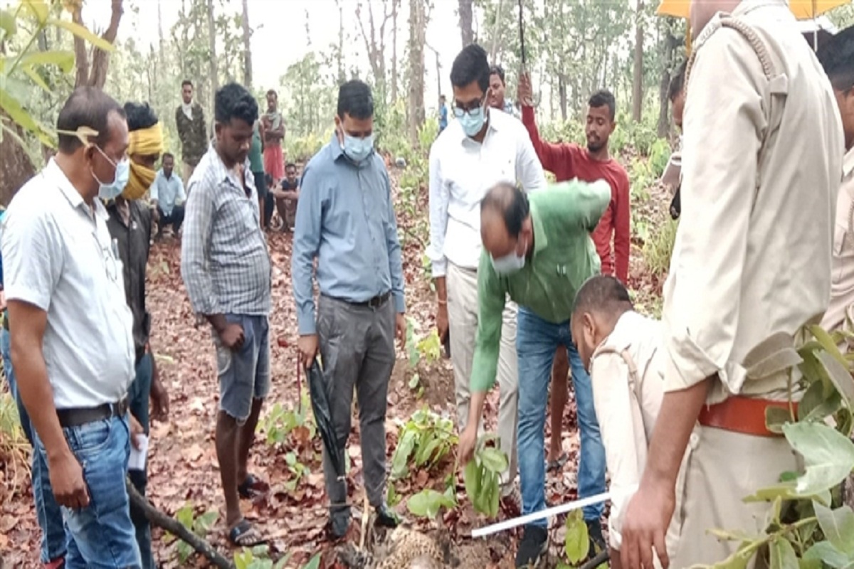 CG Crime News: बछड़े के शिकार से नाराज पिता-पुत्र ने तेंदुए को जहर देकर मार डाला, फिर काटकर ले ...