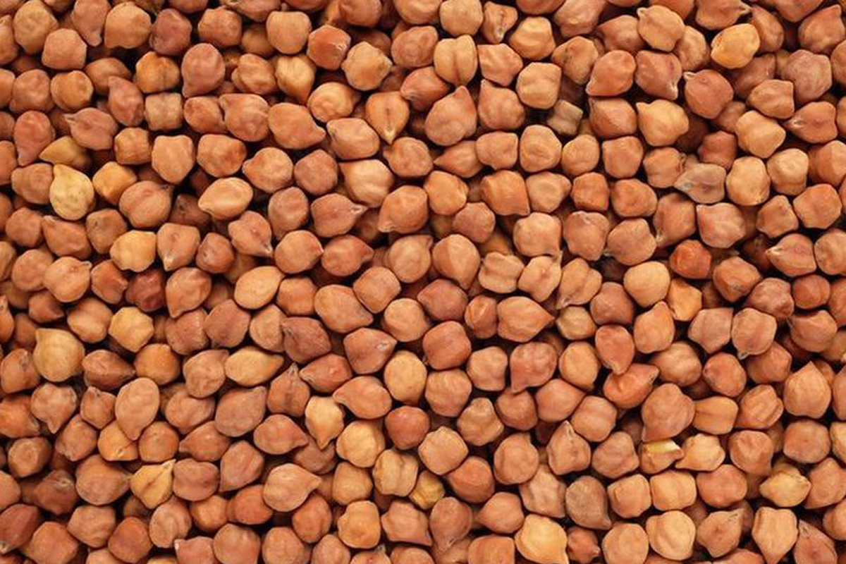 Mandi News: मिलर्स की मांग निकलने से सोयाबीन में तेजी, चना व मैथी मंदी ...