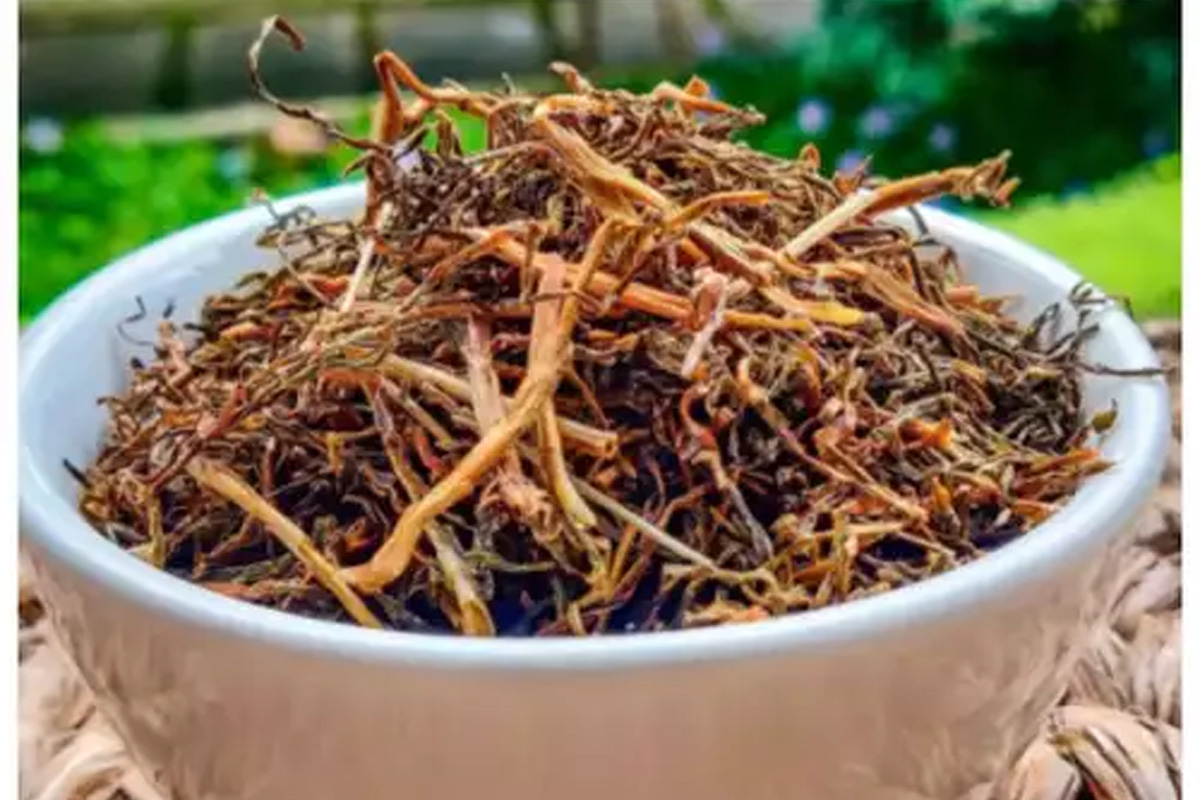 Ayurvedic Herb: नसों में जमा गंदगी साफ करेगी ये चमत्कारी जड़ी-बूटी ...