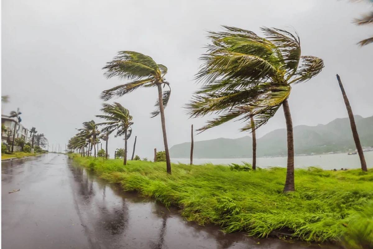 Monsoon 2024: मानसून ने पकड़ी रफ्तार, IMD ने बताई आगमन की नई तारीख ...
