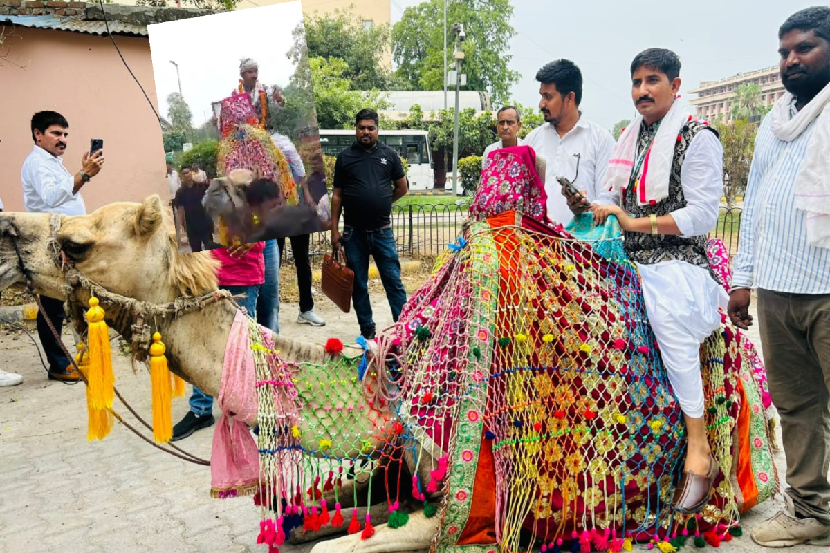 Parliament Session 2024 : राजस्थान के इस सांसद का दिखा अलग अंदाज, संसद ...