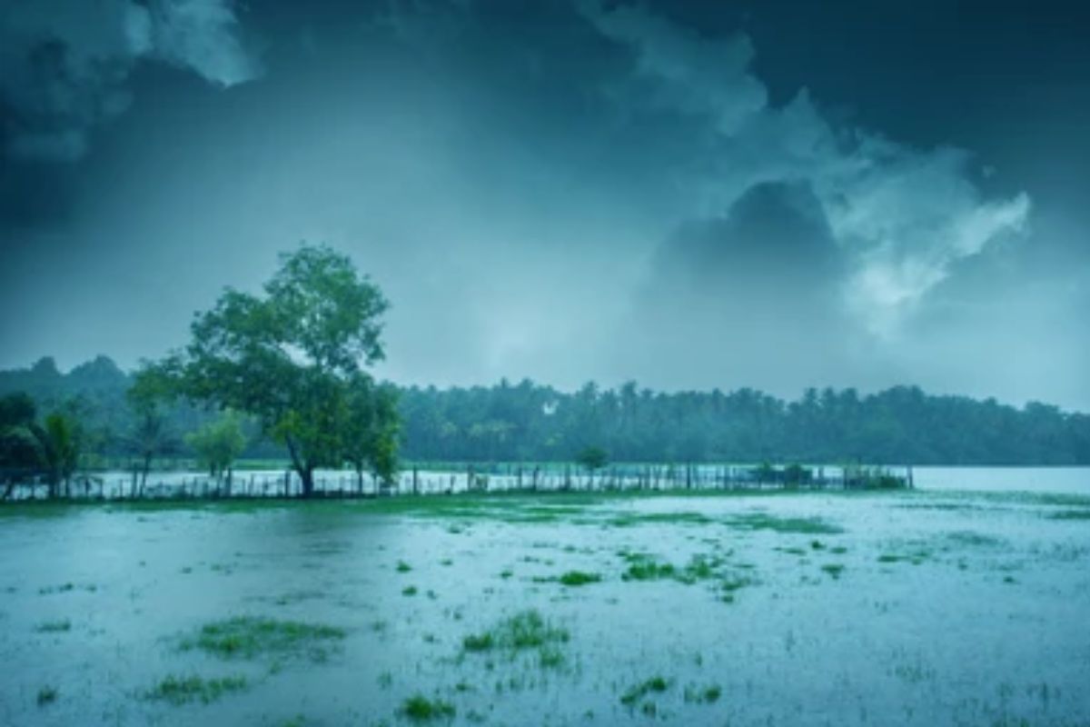 Monsoon Update: कहां तक पहुंचा मॉनसून, अब किस राज्य में मिलने वाली है ...