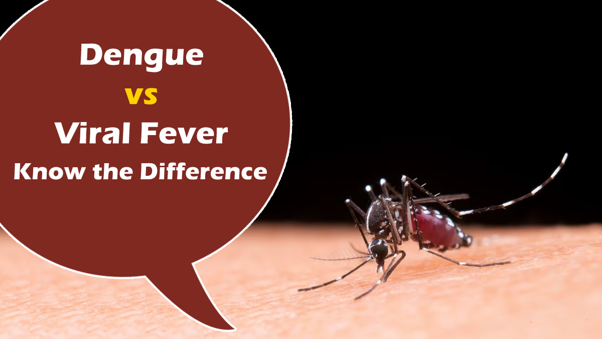 Dengue vs Viral Fever : मानसून में वायरल और डेंगू बुखार: एक जैसा दिखता ...
