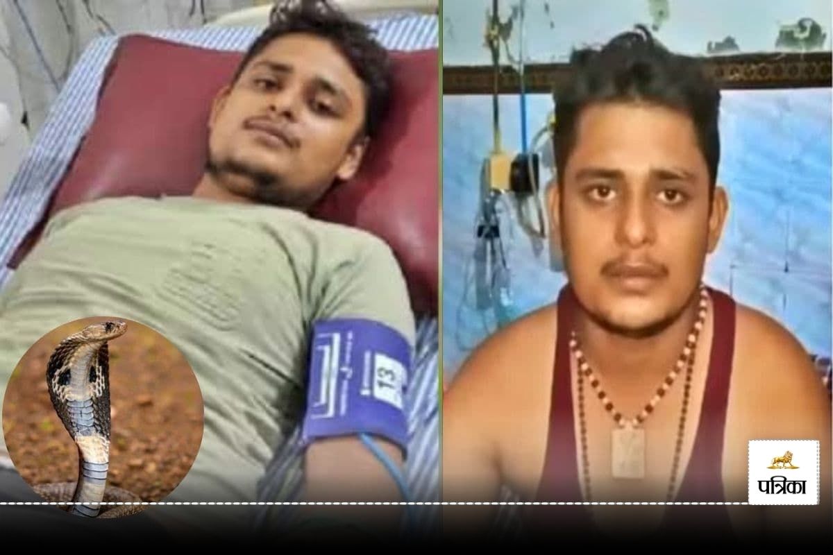 40 दिन में 7 बार सांप काटने वाली बात झूठी! स्नेक बाईट के निशान की जांच ...