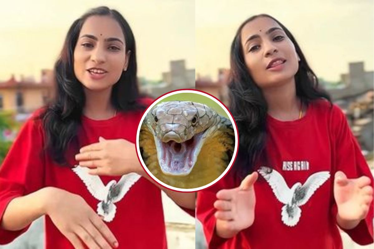 कौन है ये इंफ्लुएंसर जिसे कोबरा सांप ने डसा? फिर हुई खौफनाक मौत, Last वीडियो वायरल | Patrika ...