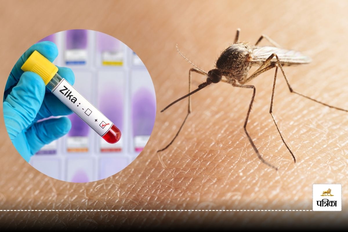 Zika Virus : पुणे में जीका का हमला! एक ही दिन में मिले 7 मरीज, संक्रमितों की संख्या 73 हुई ...