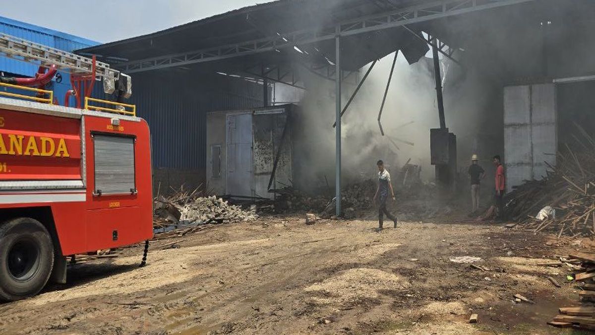 Timber Factory में भीषण आग, आठ दमकलों ने आठ घंटे में पाया काबू ...