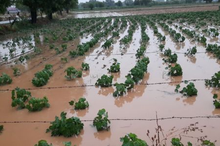 Rajasthan Weather: अलवर में 4 घंटे झमाझम, बिजली गिरने से युवती की मौत ...