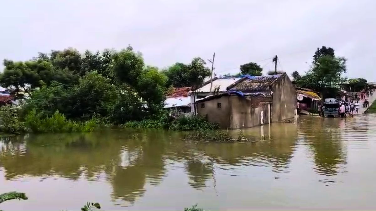 MP Flood: एमपी में भारी बारिश ने मचाया कोहराम, इन जिलों पर आया बाढ़ का खतरा